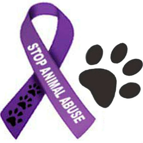 Animal abusers to face immediate prosecution | BestofAthens.gr